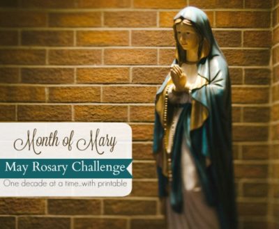 Rosary Challenge for the Month of Mary - elizabeth clare