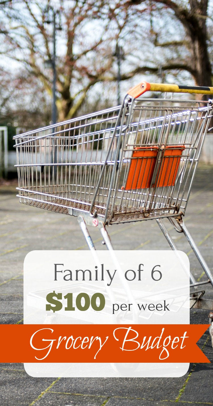 Grocery Budget for a Family of 6 - elizabeth clare