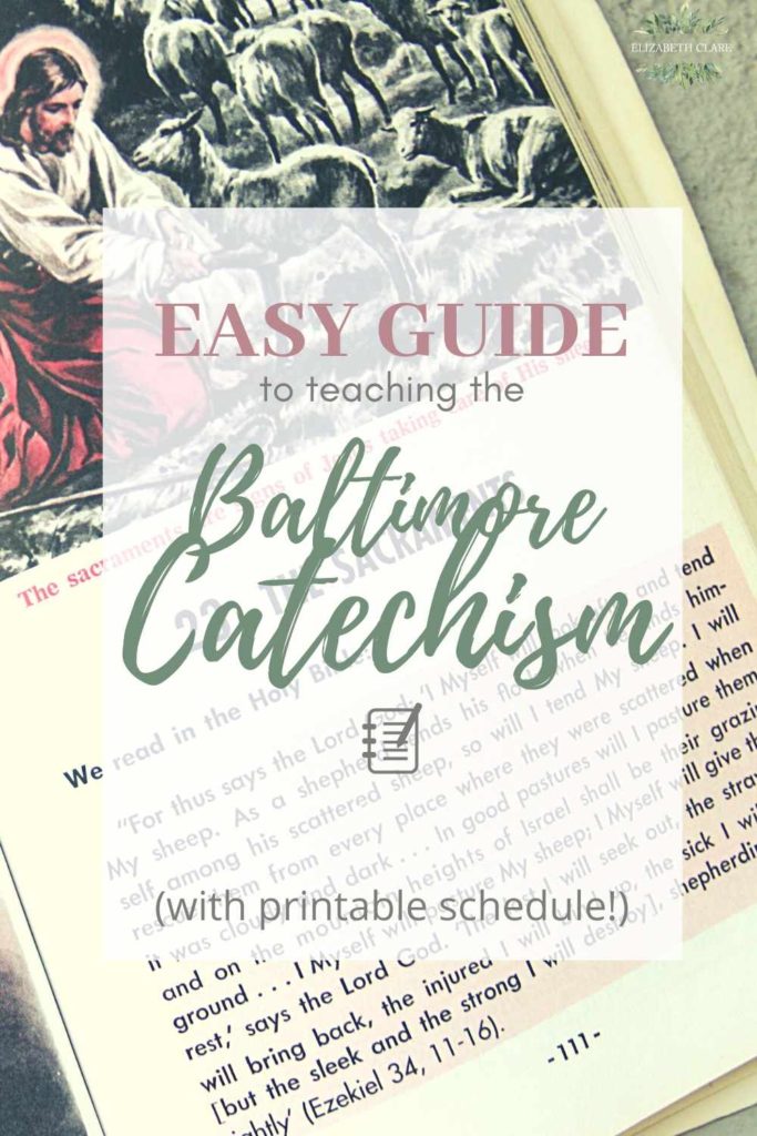 Baltimore Catechism: Step-by-Step Guide for use in your Catholic ...