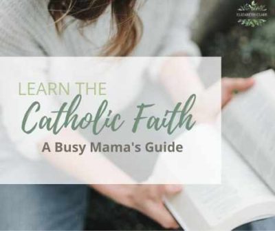 Busy Mama's Guide to Learning the Catholic Faith - elizabeth clare