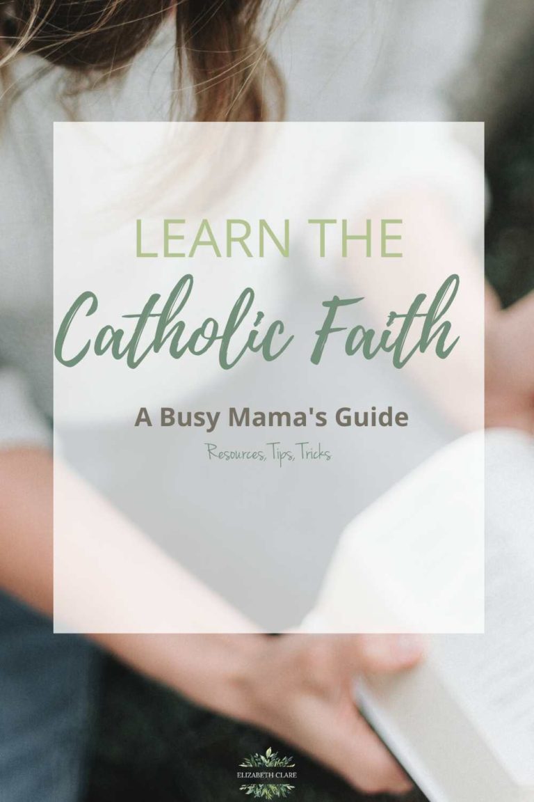 Busy Mama's Guide to Learning the Catholic Faith - elizabeth clare