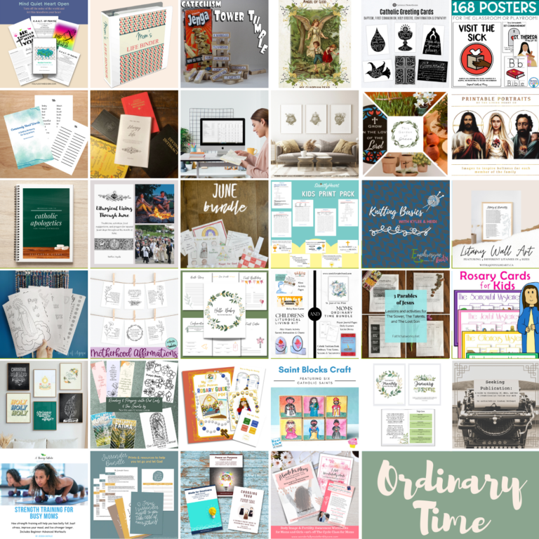 - practical solutions for the modern catholic